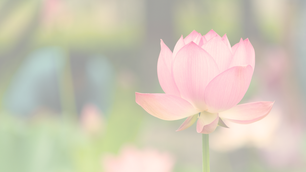 Advanced Course in Reading Flower Images
